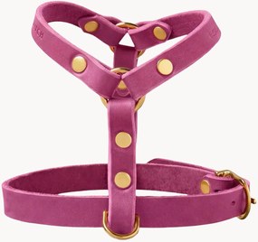 Kožený postroj pro psa Y-Harness, v různých velikostech