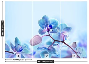 Fototapeta Tropické orchideje 104x70