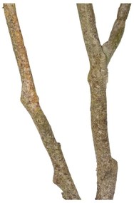 Umělá rostlina (výška 116 cm) Oak Tree – Ixia
