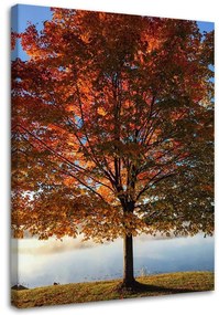 Obraz na plátně Strom Podzimní listí - 70x100 cm