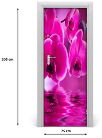 Fototapeta samolepící Růžová orchidej 75x205 cm