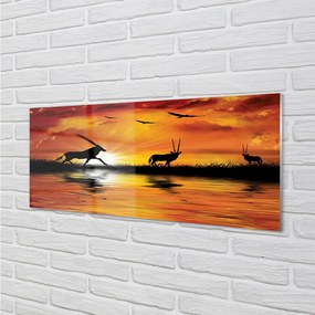 akrylový obraz Ptáci jezero západ 120x60 cm