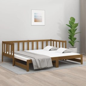 Výsuvná postel medově hnědá 2x (80 x 200) cm masivní borovice,  814707 HangarStore.cz