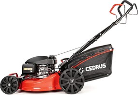 Hahn & Sohn Cedrus Benzínová sekačka s pojezdem HP16636