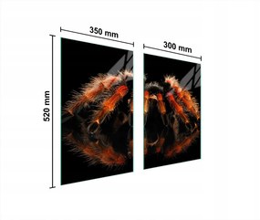 Skleněná Ochranná Deska Do Kuchyně 65x52 Pavouk