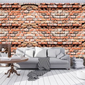 Fototapeta - Red Brickwall (254x184 cm)