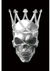Obraz Skull 80x120 černý/stříbrný
