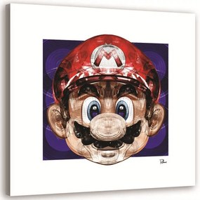 Gario Obraz na plátně Super Mario - Rubiant Rozměry: 30 x 30 cm