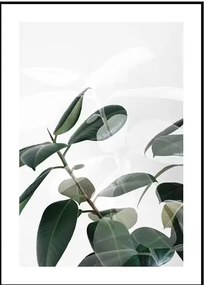 jiná značka Designový nástěnný obraz - stíny rostliny