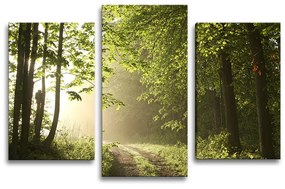 Sablio Obraz - 3-dílný Lesní cesta - 75x50 cm