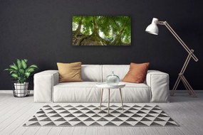 Obraz na plátně Stromy Rostlina Příroda 140x70 cm