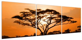 Obraz africké savany (150x50 cm)