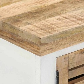 TV skříňka 110 x 30 x 40 cm masivní mangovníkové dřevo 337848