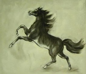 Vzpínající se kůň - 50 x 60 cm