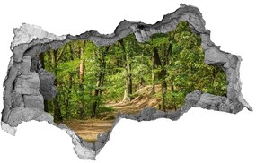 Wallmuralia Díra 3D ve zdi nálepka Lesní stezka 95x73 cm
