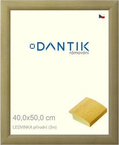 DANTIK rámeček 40x50 | LEDVINKA přírodní (Plexi Čiré)