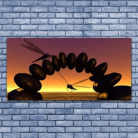 akrylový obraz Vážky Kameny Umění 120x60 cm