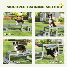 PawHut 3dílná agility sada pro psy — smrkový most, žebřík a plošina pro střední a velké psy do 40 kg, šedá