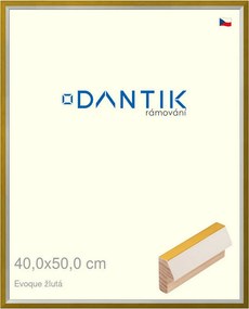DANTIK rámeček 40x50 | EVOQUE žlutá (Plexi Čiré)