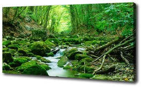 Wallmuralia Foto obraz na plátně Pramen v lese 100x50