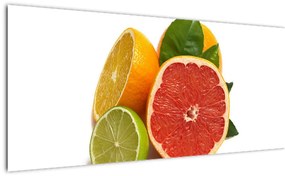 Citrusové plody - obraz (100x40cm)