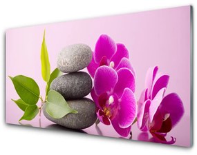 Obraz na skle Orchidej Vstavač Kameny 125x50 cm