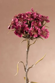 Paramit DRY DIANTHUS Aranžovací květina červená 55 cm