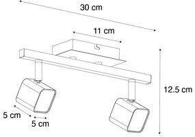 Moderní stropní svítidlo černé vč. LED 2-světlo - Nola