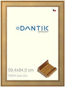 DANTIK rámeček 59,4x84 | TOOTH zlatá (Plexi Čiré)