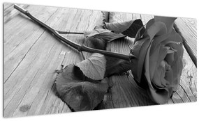 Obraz černobílé růže (100x40cm)