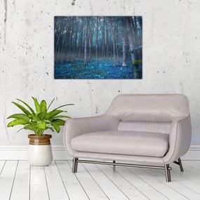 Skleněný obraz - Magický les (70x50 cm)