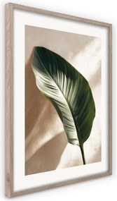 Tištěný obraz s rámem 50x70 cm Strelizia Leaf – Styler