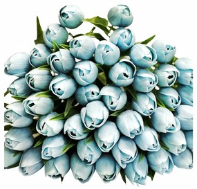 Tulipán STEEL BLUE