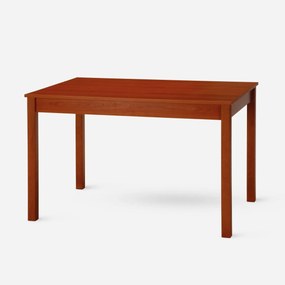 Stima Stůl GASTRO 160x80 cm buk