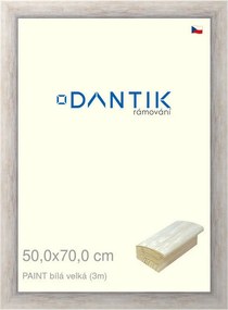 DANTIK rámeček 50x70 | PAINT bílá velká (Plexi Čiré)