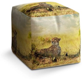 Sablio Taburet Cube Gepard: 40x40x40 cm