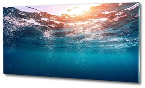 Wallmuralia Fotoobraz na skle Podvodní svět 100x50