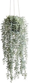 FLORISTA Eukalyptus převislý malý list 65 cm