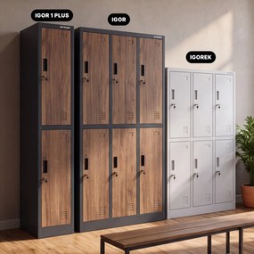 Šatní skříňka BHP, zaměstnanecká, jednotlivá, 2 schránky s tyčí, antracitová/ořech, 316,5x1850x450 mm: IGOR 1 Plus Eco Design