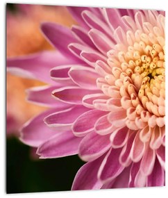 Detailní obraz květu (30x30 cm)