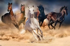 Plakát, Obraz - Koně - Five horses, (91.5 x 61 cm)