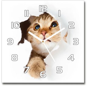 Wallmuralia Skleněné hodiny čtverec Kočka v díře 30x30 cm