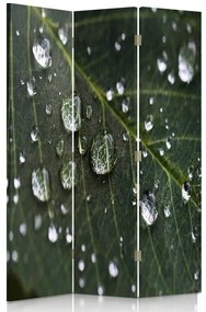 Ozdobný paraván Zelené listy kapky vody - 110x170 cm, třídílný, obustranný paraván 360°