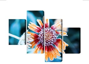 Vícedílný obraz Rudbeckia Květiny Pokryté Mrazem Nedostatek Nedostatek Plátno Canvas 120x75