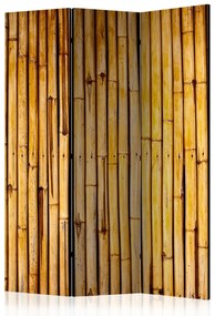 Paraván Bamboo Garden Dekorhome 135x172 cm (3-dílný)