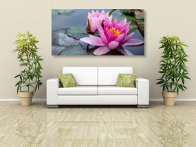 Obraz růžový lotosový květ Varianta: 100x50