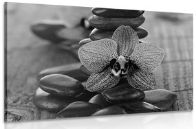 Obraz orchidej a Zen kameny v černobílém provedení - 120x80 cm