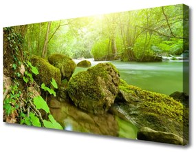 Obraz na plátně Jezero Kameny Příroda 100x50 cm