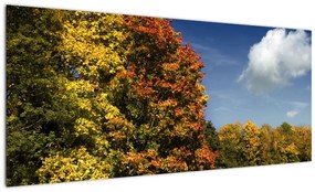 Podzimní krajina, obraz (100x40cm)