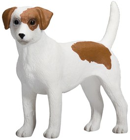 Mojo Jack Russell teriér